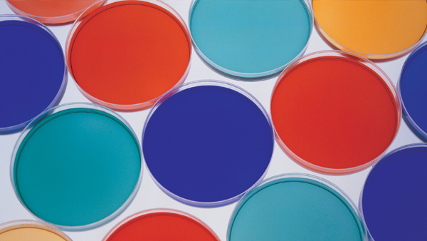 Mosby International Corp.